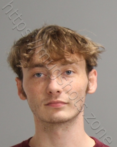 NAVARRO NICOLAS LAINE 04/02/2026 - Brazos County Mugshots Zone