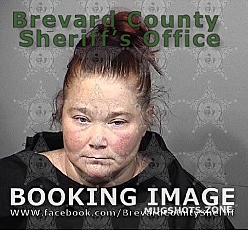OSTRANDER AMANDA RAE 01/20/2021 - Brevard County Mugshots Zone