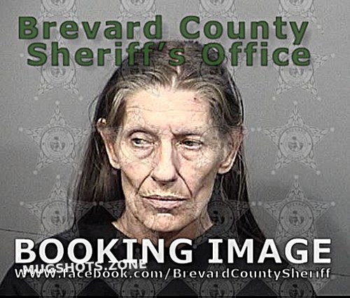 STRAIN KIMBERLY SUE 02/02/2021 - Brevard County Mugshots Zone