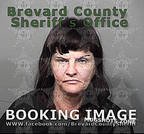 DEMSTER ROBIN ANN 02/06/2021 - Brevard County Mugshots Zone