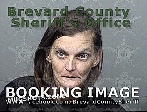 BEARD BRANDI DAWN 04/28/2021 - Brevard County Mugshots Zone