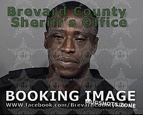 HAWK MISTER NMN 07/07/2021 - Brevard County Mugshots Zone