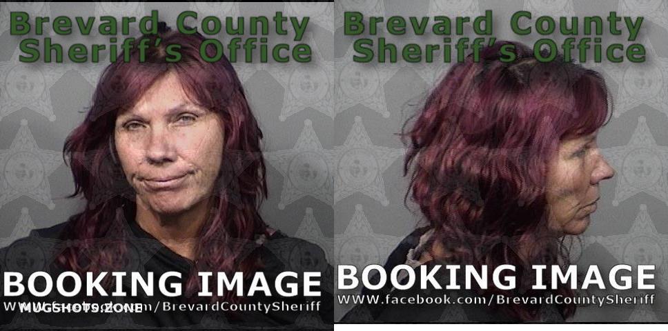 NELIS NANCY E 08/25/2021 - Brevard County Mugshots Zone
