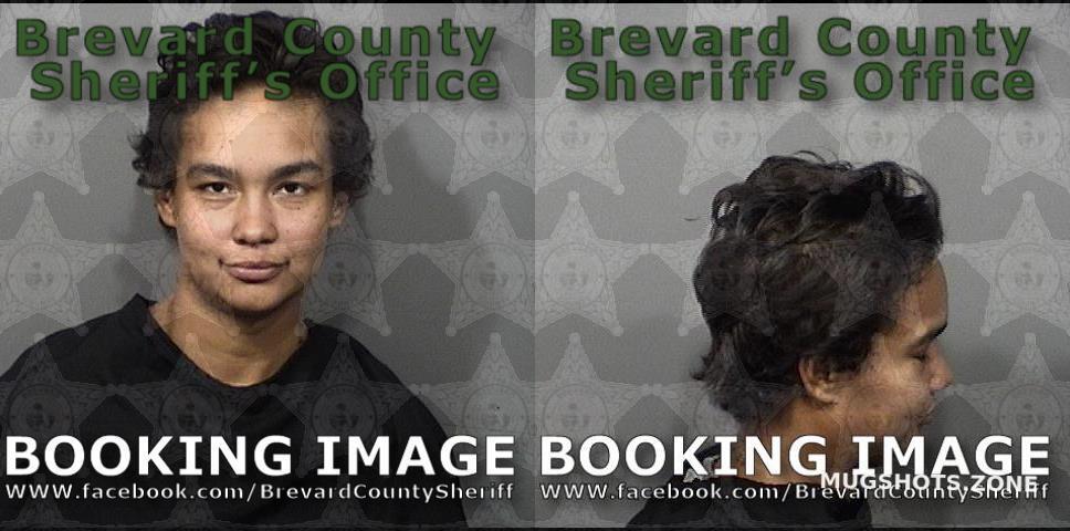 HIGHTOWER ALYSSA C 10/21/2021 - Brevard County Mugshots Zone