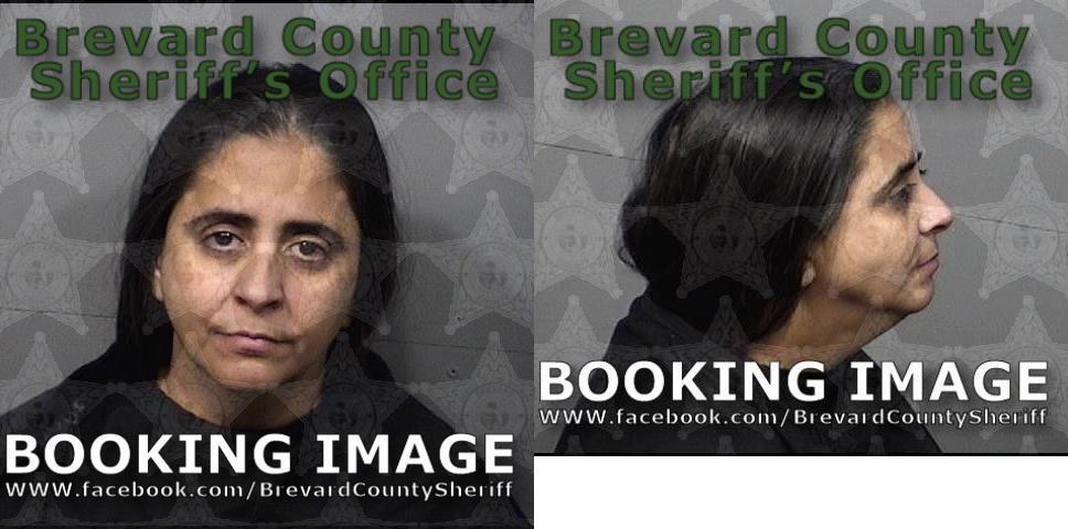 FROMETA OCANA MABEL 11/24/2021 - Brevard County Mugshots Zone