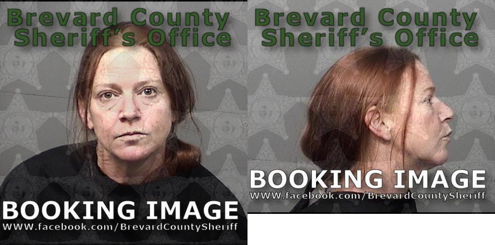 HOPKINS AMBER RAE 12/26/2021 - Brevard County Mugshots Zone