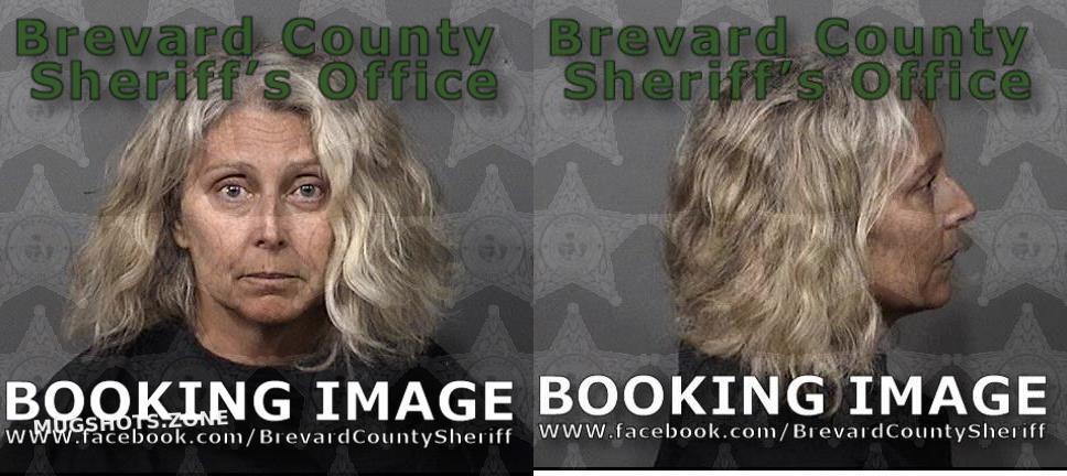 RAPUANO LISA ODELL 03/08/2022 - Brevard County Mugshots Zone