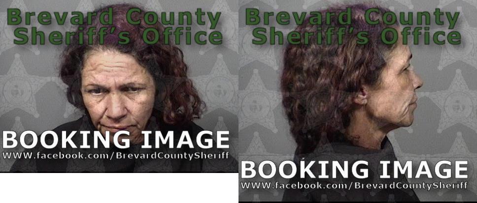 HALFHIDE VICTORIA MARQUARTE 04/20/2022 - Brevard County Mugshots Zone