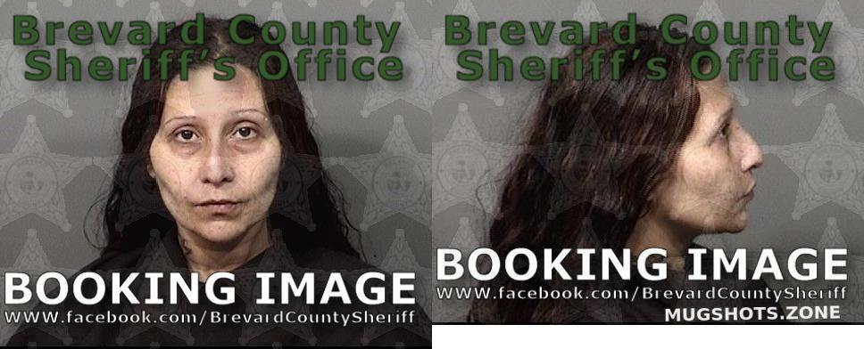 ZAMPELLA MICHELLE RENEE 05/05/2022 - Brevard County Mugshots Zone