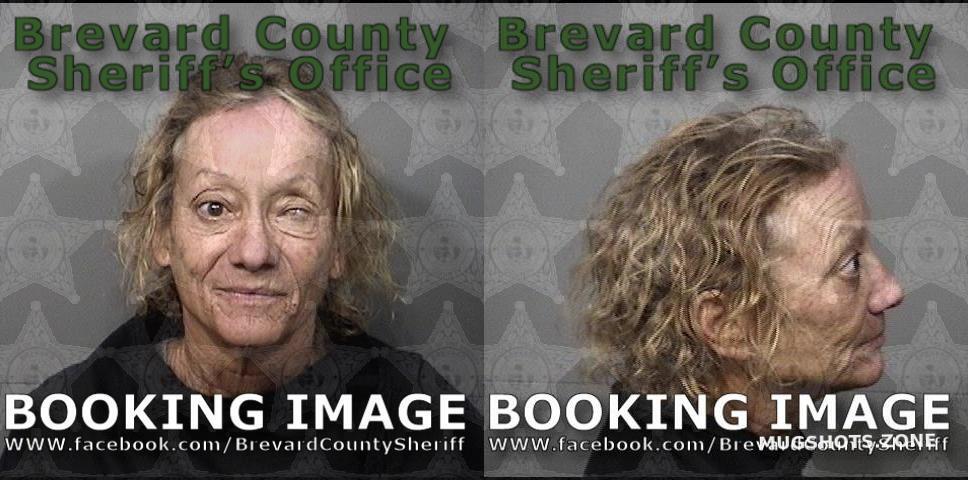 CONNEELY TINA EILEEN 06/11/2022 - Brevard County Mugshots Zone