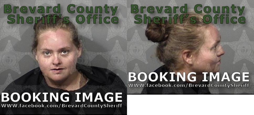 FOLEY TAYLOR ASHLYN 06/28/2022 - Brevard County Mugshots Zone