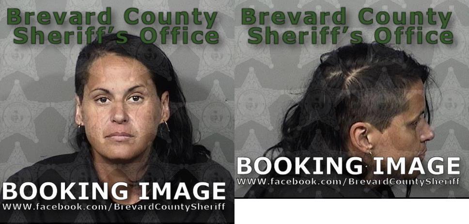 SIMMERMAN LISA MICHELLE 07/06/2022 - Brevard County Mugshots Zone