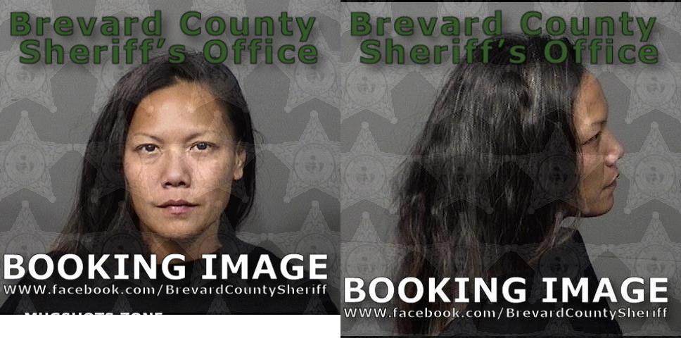 CHANG SUSAN 09/08/2022 - Brevard County Mugshots Zone