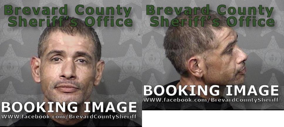 LOWRY LOUIS MICHAEL 09/15/2022 - Brevard County Mugshots Zone