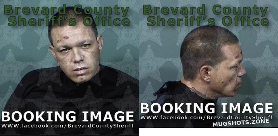 LANDSMAN LUKE MARCUS 09/26/2022 - Brevard County Mugshots Zone