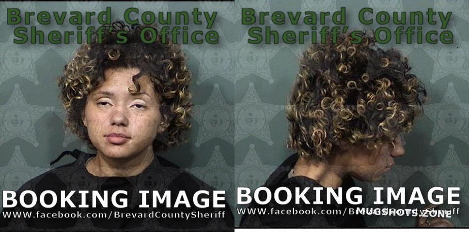 MEYER CAPURSO LYNNETTE MARIE 09/27/2022 - Brevard County Mugshots Zone