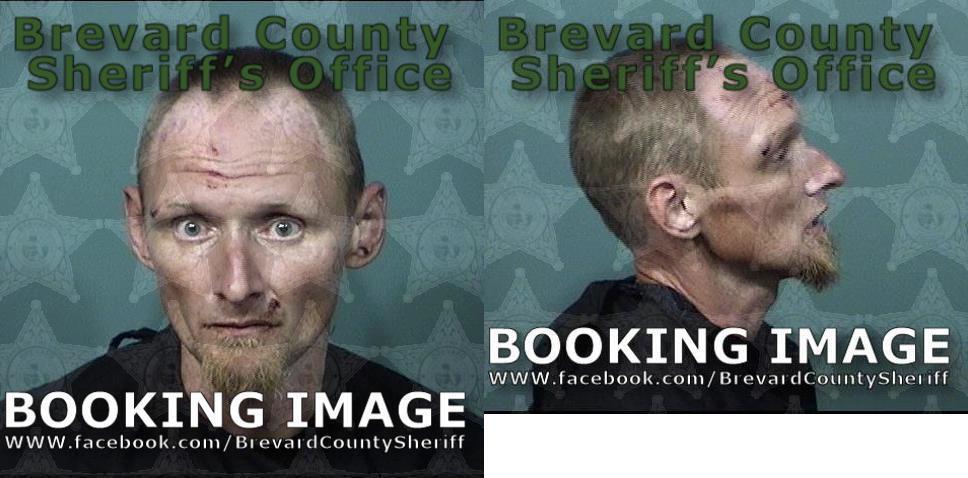 ARMOUR SEAN STEWART 10/04/2022 - Brevard County Mugshots Zone