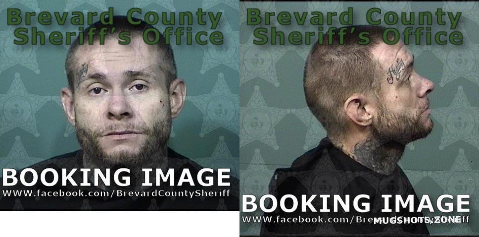 HALLAMAN DAVID F 10/04/2022 - Brevard County Mugshots Zone