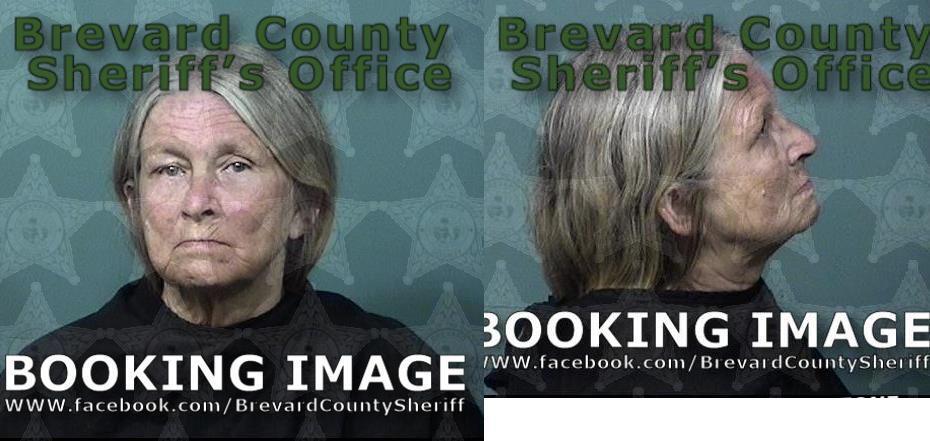KEAN ROBIN GAIL 10/05/2022 - Brevard County Mugshots Zone