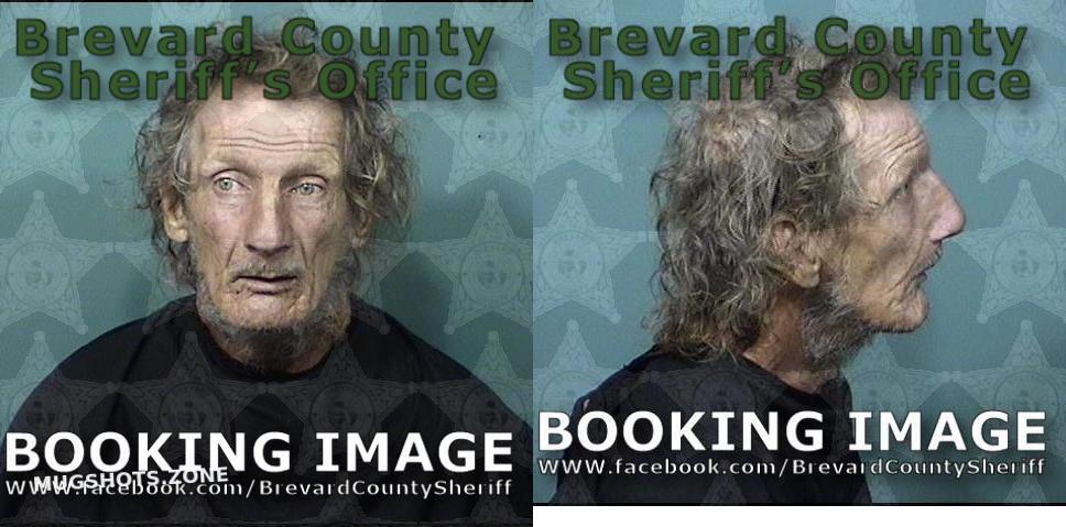 LUKE STEVEN MARTIN 10/13/2022 - Brevard County Mugshots Zone