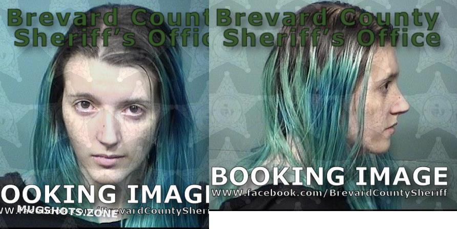 CUNNINGHAM MICHELLE C 10/17/2022 - Brevard County Mugshots Zone
