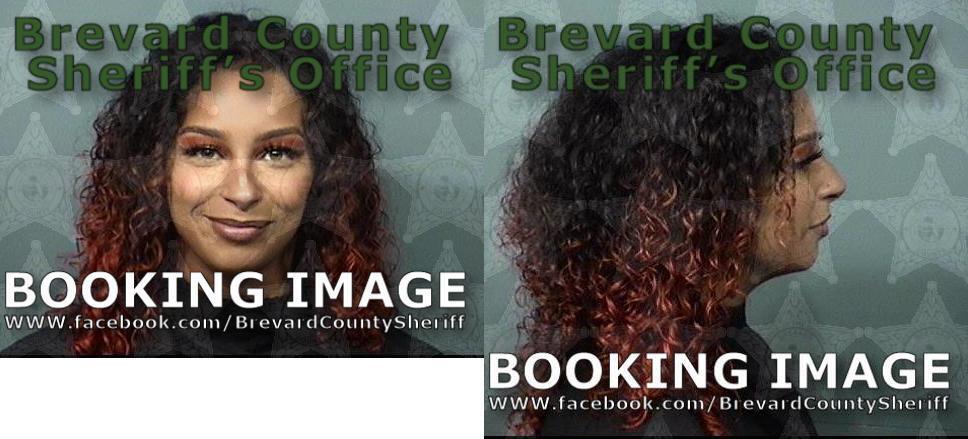 WILLIAMS ZOE ANNE 10/29/2022 - Brevard County Mugshots Zone