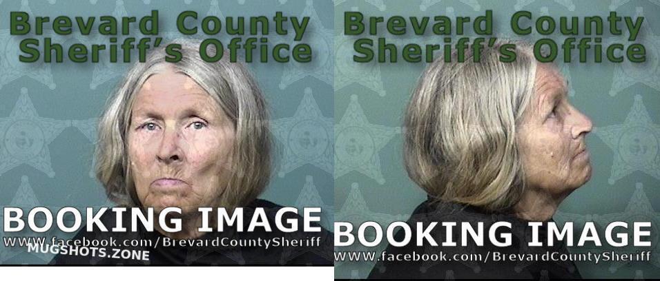 KEAN ROBIN GAIL 10/31/2022 - Brevard County Mugshots Zone