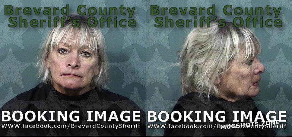 BARRETT CAROL ANN 11/14/2022 - Brevard County Mugshots Zone