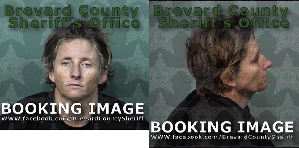 SELPH JESSICA SUE 11/15/2022 - Brevard County Mugshots Zone