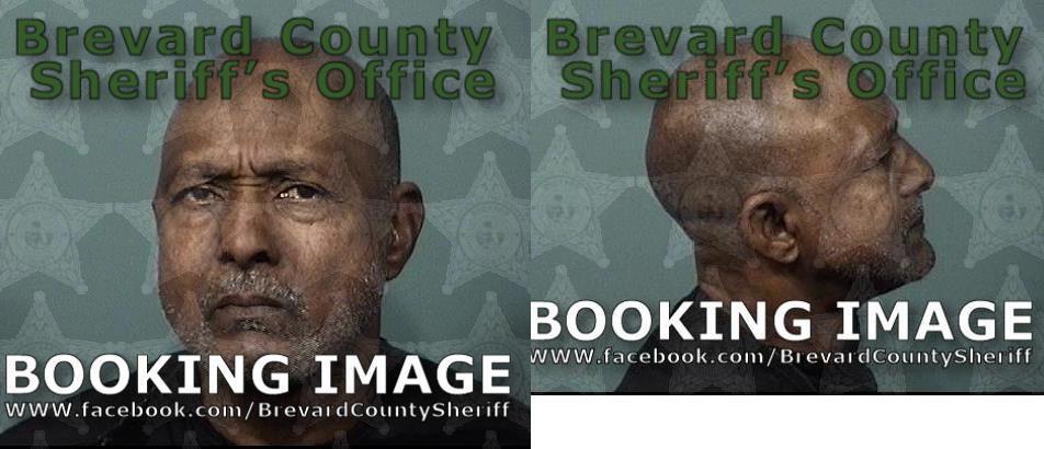 RIDLEY LEVONIA 11/18/2022 - Brevard County Mugshots Zone