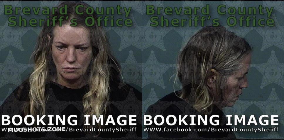 VILLIOTIS BRIDGET 11/28/2022 - Brevard County Mugshots Zone