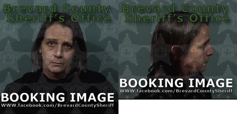 MORIN LORIE MICHELLE 11/28/2022 - Brevard County Mugshots Zone