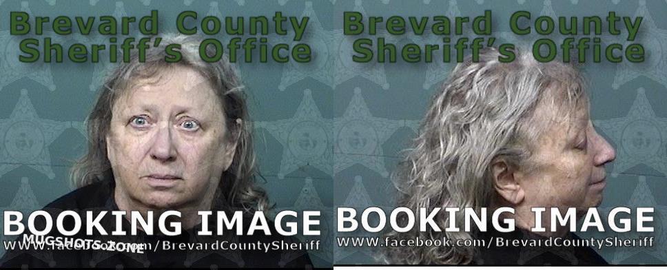 CARR MONA GAY 11/28/2022 - Brevard County Mugshots Zone