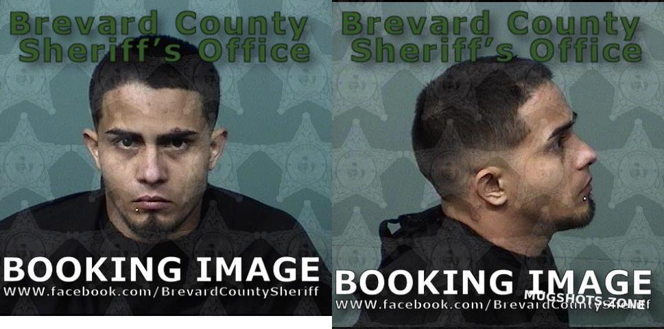 ROSA DIXON 12/11/2022 - Brevard County Mugshots Zone