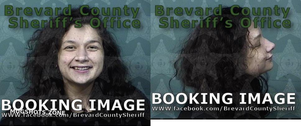 Williams Hayden Marie 12132022 Brevard County Mugshots Zone