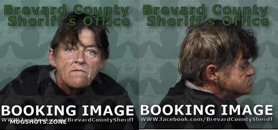 MOLNAR LISA MARIE 12/22/2022 - Brevard County Mugshots Zone