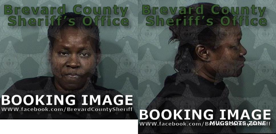SNEED BONNIE RUTH 01/08/2023 - Brevard County Mugshots Zone