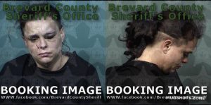 REGAN PATRICIA EVA 01/12/2023 - Brevard County Mugshots Zone