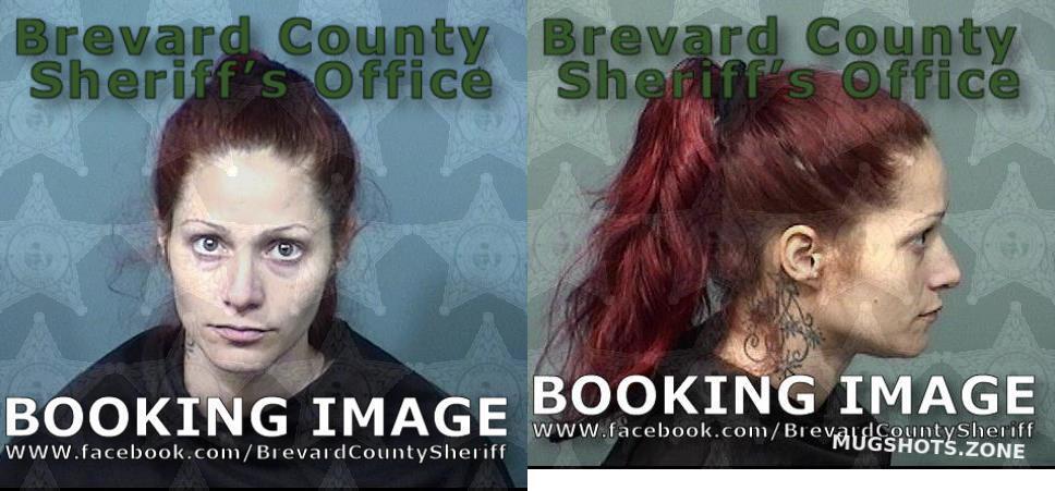 VELLECA ROBIN MARIE 02/10/2023 - Brevard County Mugshots Zone