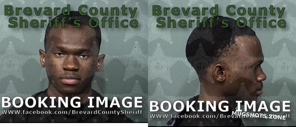 WADDELL NICHOLAS ALEX 02/11/2023 - Brevard County Mugshots Zone