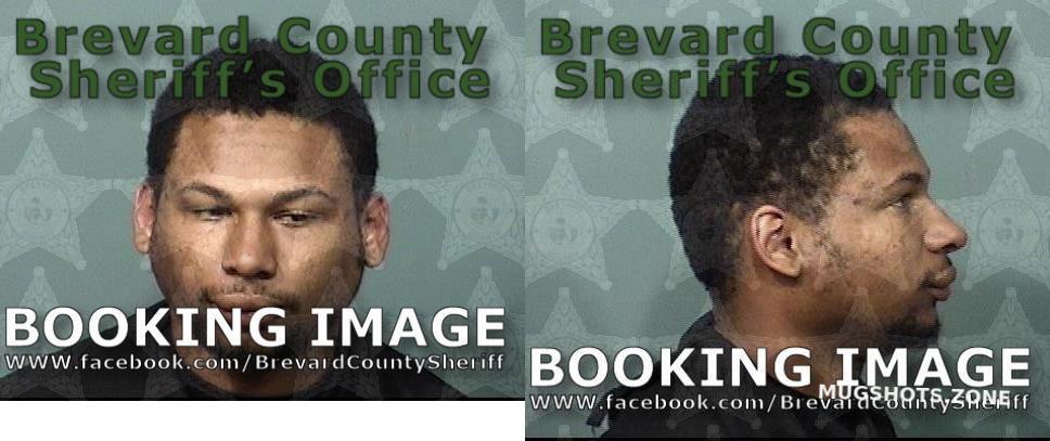 DAVIS ALPHIE 02/12/2023 - Brevard County Mugshots Zone