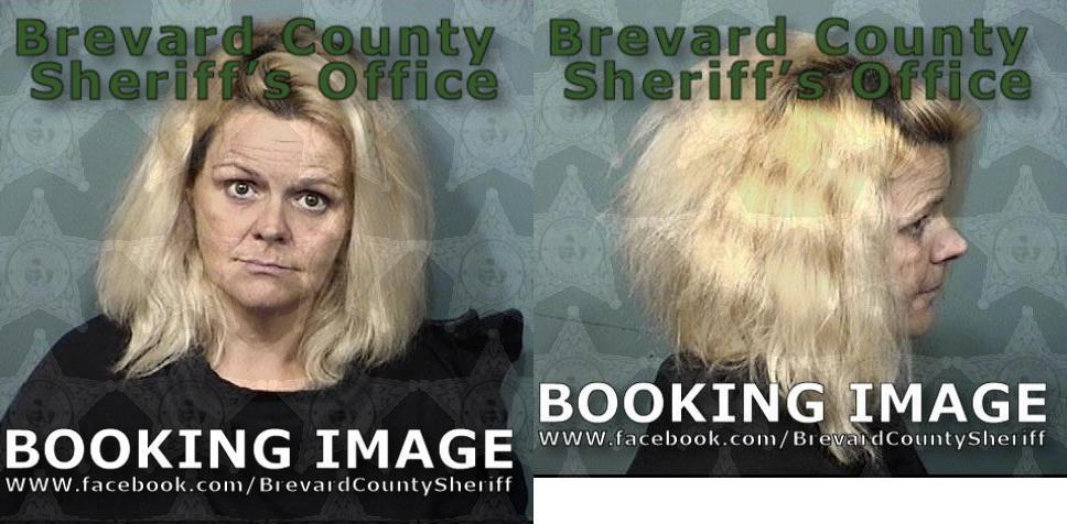 FOGG BRANDY D 02/19/2023 - Brevard County Mugshots Zone