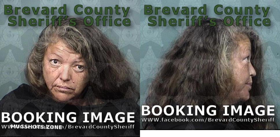 TALL CYNTHIA LINDA 02/25/2023 - Brevard County Mugshots Zone