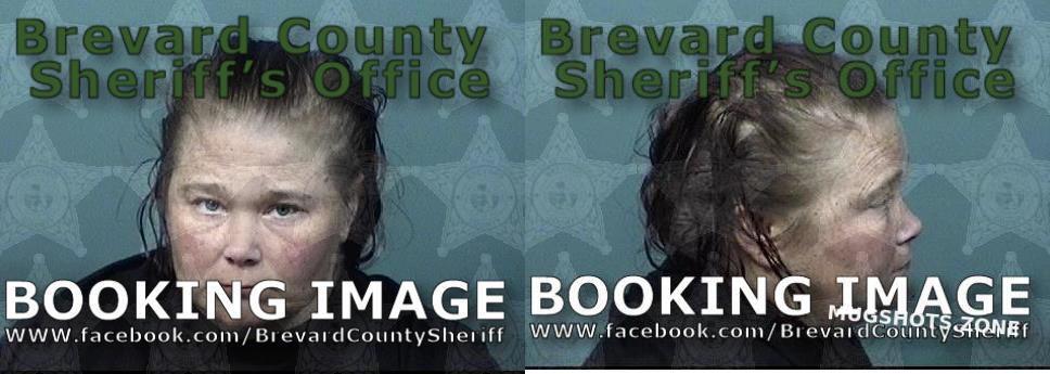 OSTRANDER AMANDA RAE 03/11/2023 - Brevard County Mugshots Zone