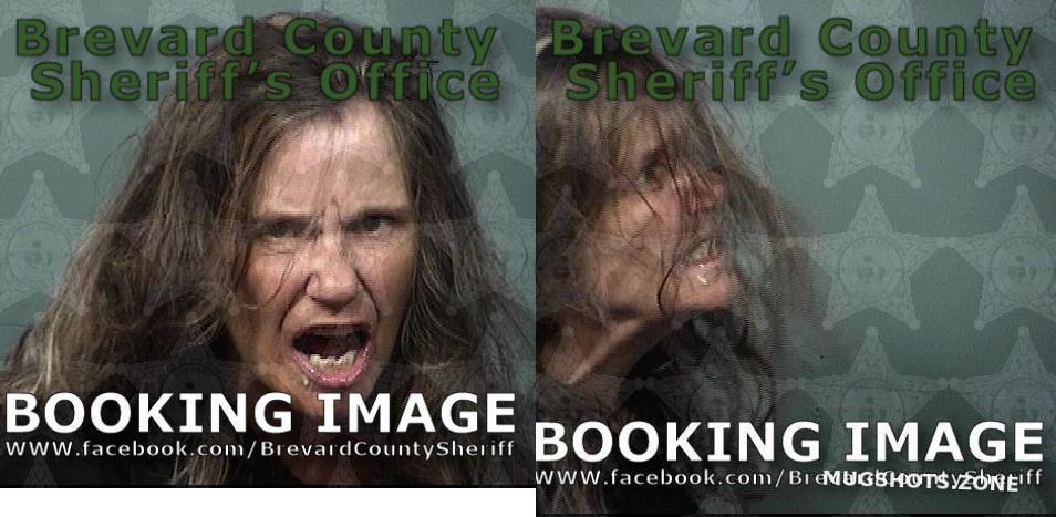 HOBDAY CARMAN KAY 03/18/2023 - Brevard County Mugshots Zone