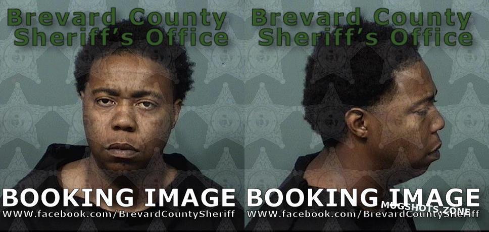 HARVEY XAVIER ALONZO 03/21/2023 - Brevard County Mugshots Zone