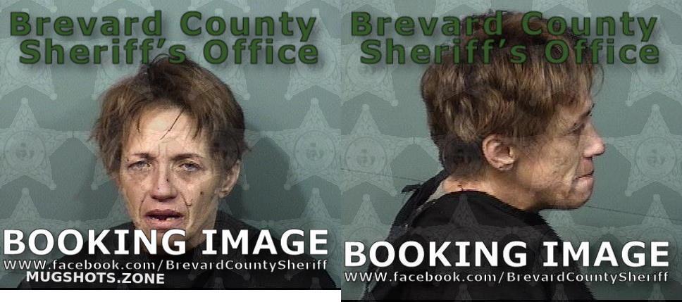 GEORGE KAREN LYNN 04/03/2023 - Brevard County Mugshots Zone