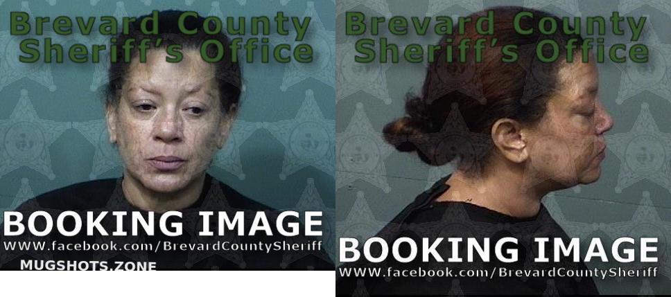 STRATTON SARA GRAYSON 04/17/2023 - Brevard County Mugshots Zone