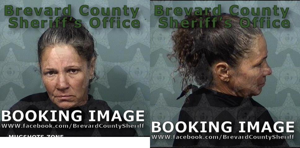 HALFHIDE VICTORIA M 04/29/2023 - Brevard County Mugshots Zone