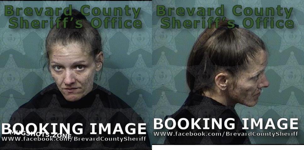 DEPIETRO MICHELLE AMANDA 05/02/2023 - Brevard County Mugshots Zone